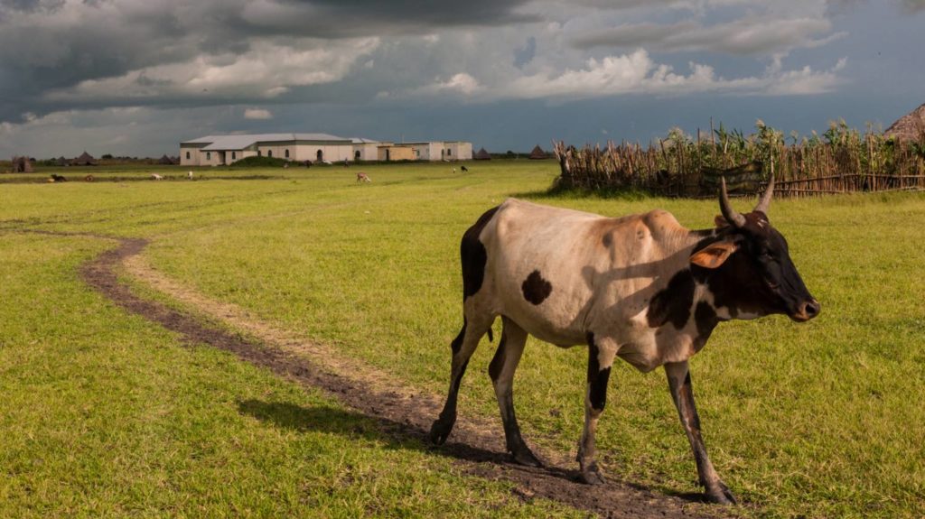 Saving sight in the world’s most remote locations | Stories | Sightsavers