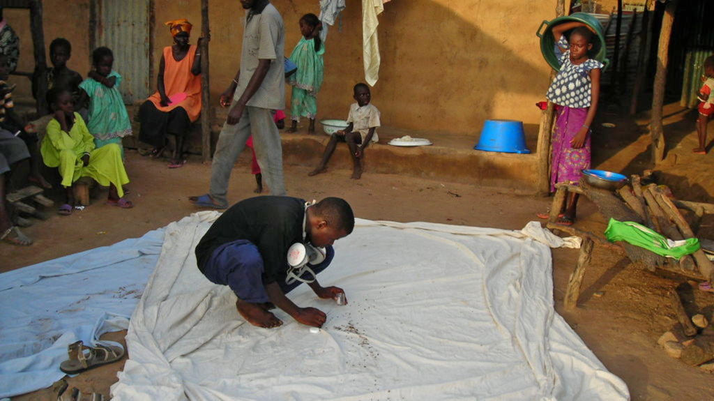 Catching the mosquitoes that spread disease: how our research is ...