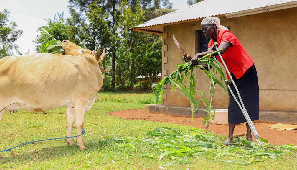 Sightsavers | Protecting sight and fighting for disability rights