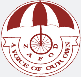 Zambia inclusive education project | Sightsavers